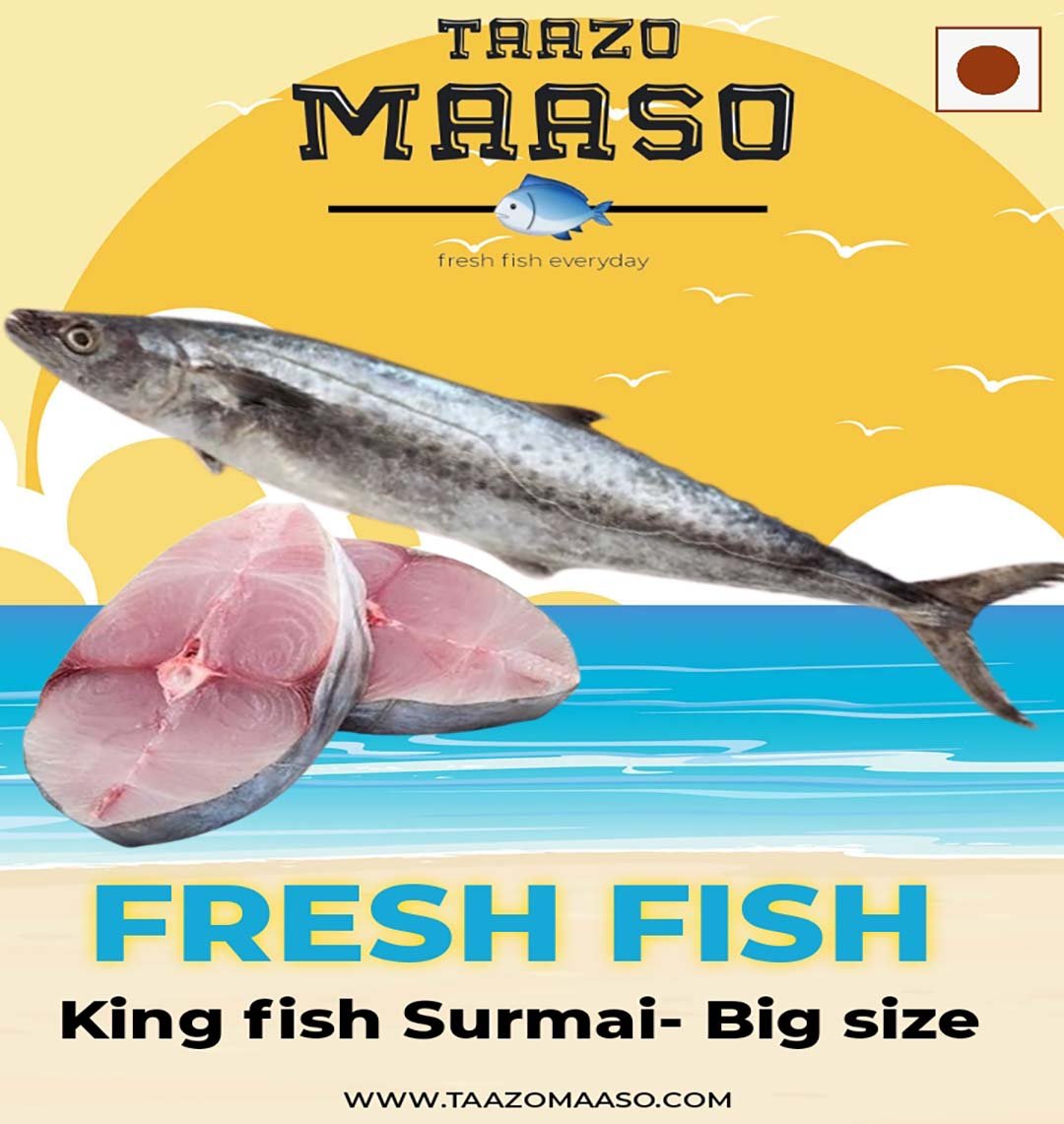 Surmai – Big SizePer: 500 gm – Taazo Maaso